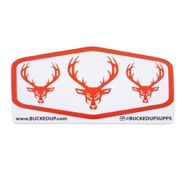 Bucked Up Sticker - Bucked Up